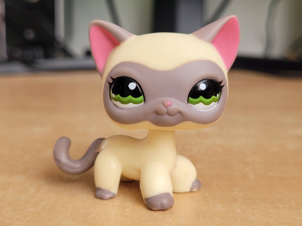 LPS Littlest Pet Shop kot kotek Shorthair #1116 - 12654722848 ...