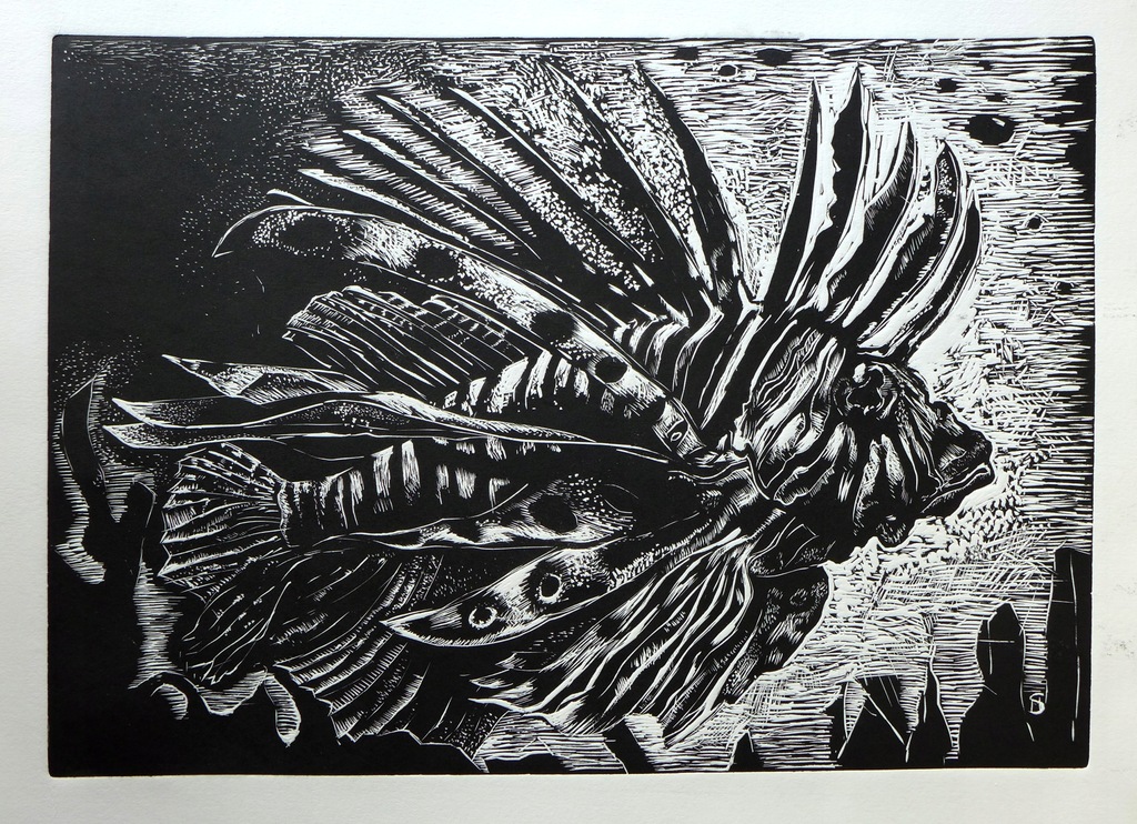 Skrzydlica DUŻA GRAFIKA linoryt - 12820332917 - oficjalne archiwum Allegro