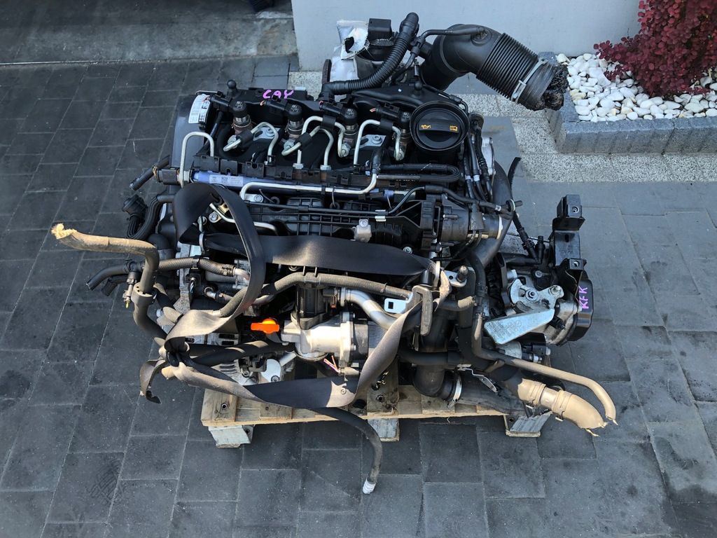 Silnik VW AUDI SKODA SILNIK CAY CAYC 1,6TD - 12243518854 - oficjalne archiwum Allegro