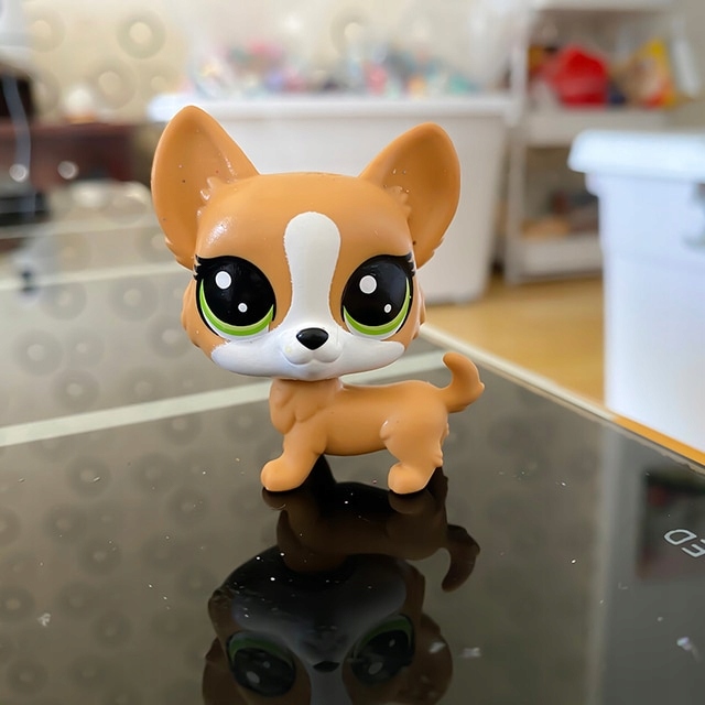 Lps psy nowy sklep zoologiczny kolekcja rysunek Co - 12718062738 ...