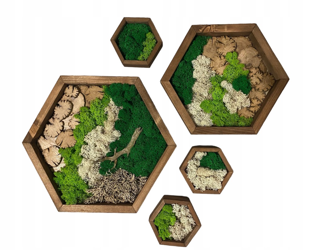 Mech Chrobotek Obraz z MCHU I DREWNA Dekoracja Zestaw - 15152385674 ...