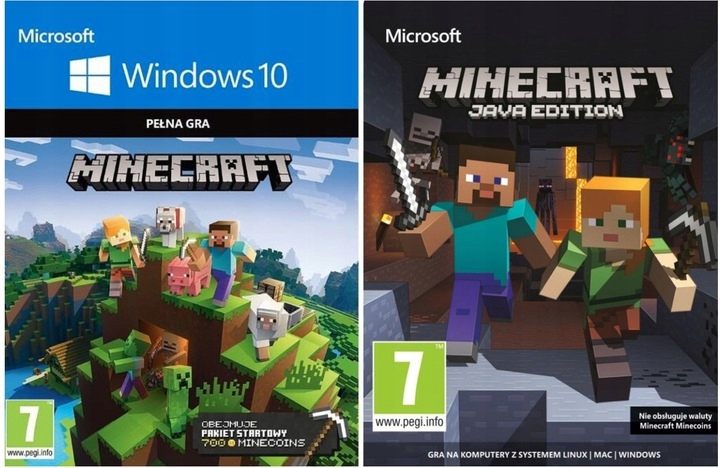 MINECRAFT JAVA + BEDROCK + WINDOWS 10/11 PL PC - 14109996891 ...
