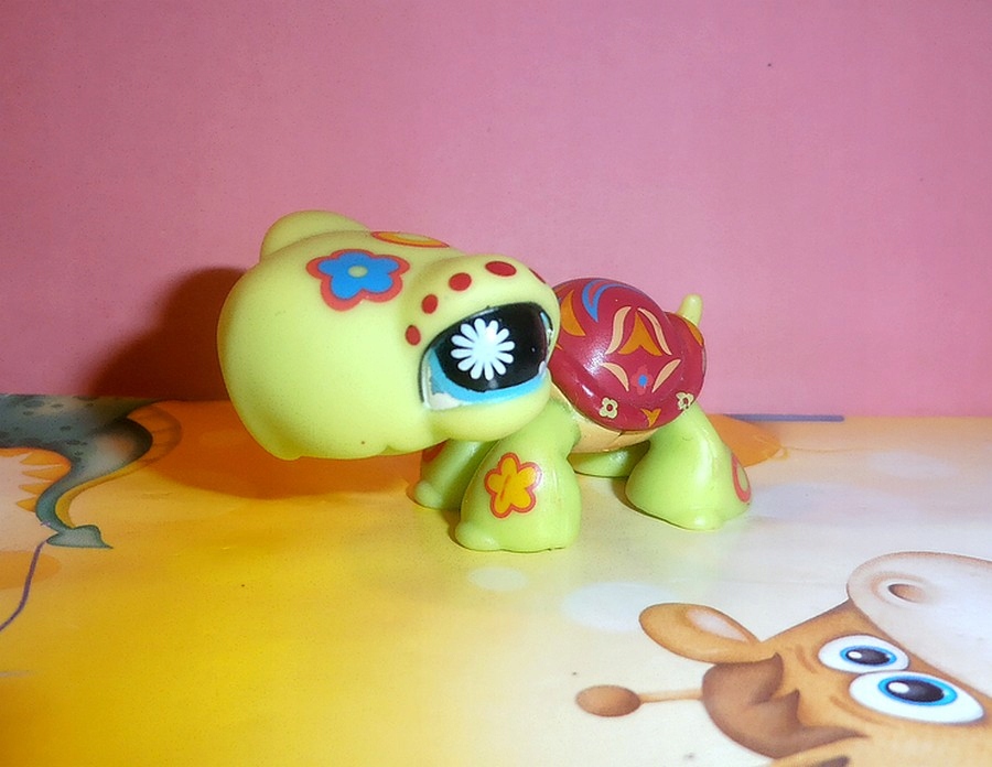 Littlest Pet Shop zółw malowany żółwik LPS - 8599021276 - oficjalne ...