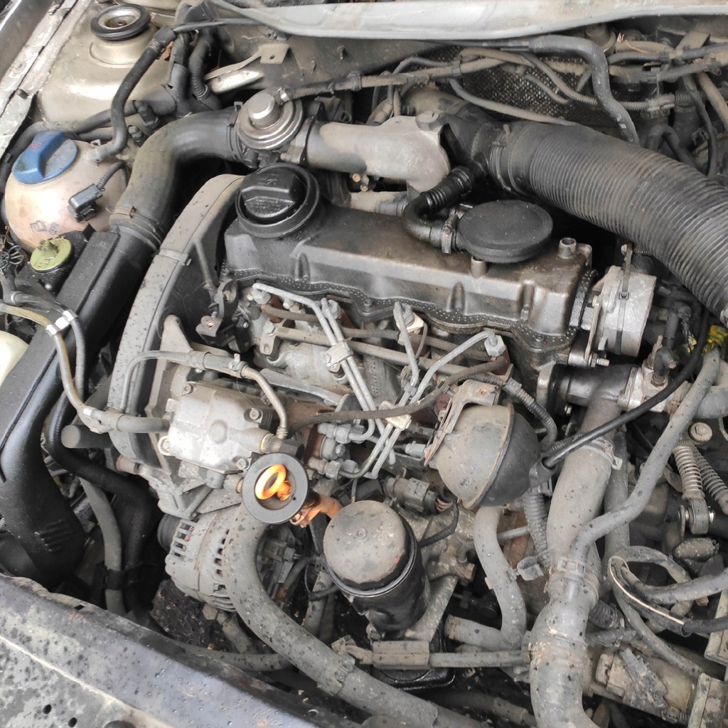 SILNIK ASV 1.9 TDI GOLF IV LEON OCTAVIA 110 KM A3 - 14090269528 ...