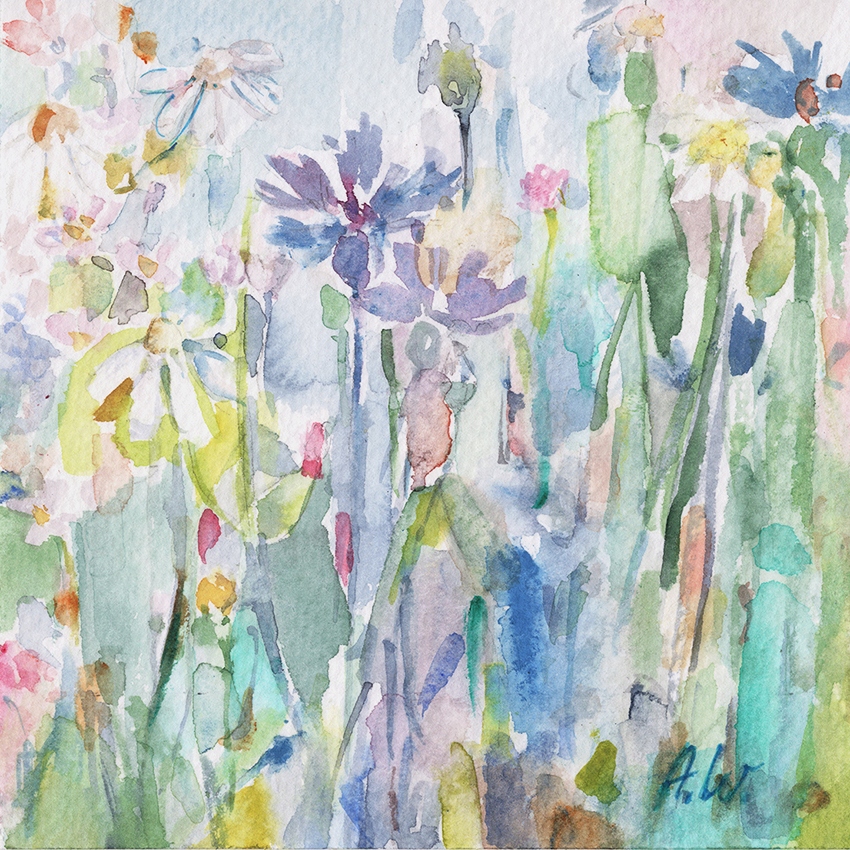 kwiaty polne akwarela A.W. chabry okazja ! - 11485141915 - oficjalne ...