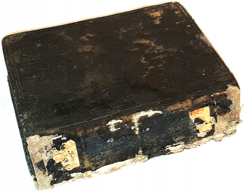 ZYIE JEZUS. WYKŁADY NASZEY CZCI GODNEY MATKI IOANN - 12827461336 ...