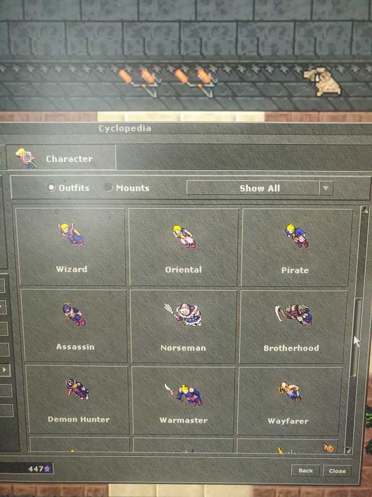 440 ED Druid tibia Open PVP 109 mlvl 4 charmy - 9290770400 - oficjalne ...