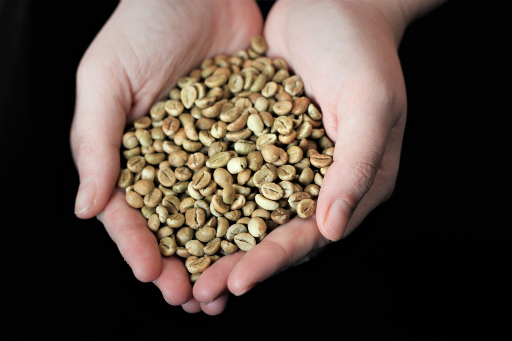 Zielone ziarno kawy Indie Cherry AA 1kg Niepalona - 13519264659 - oficjalne archiwum Allegro