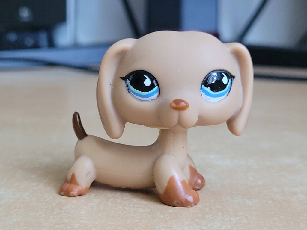 LPS Littlest Pet Shop pies piesek Jamnik #518 - 12284590719 - oficjalne ...