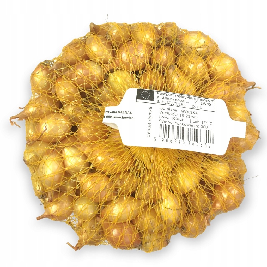 Cebula DYMKA Wolska 15-21mm 0,5kg PNOS - 13419453813 - oficjalne ...