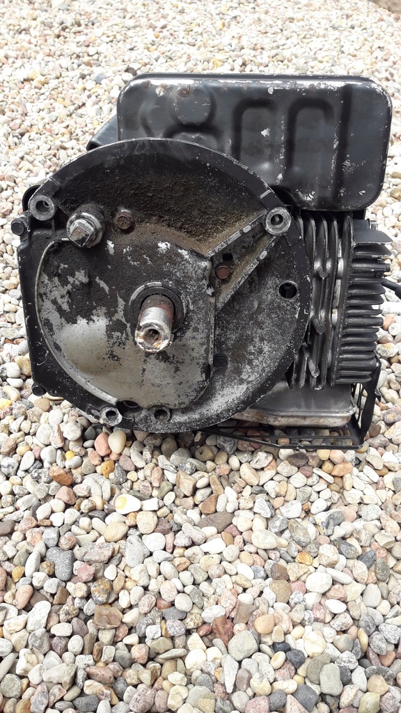 Купить Двигатель Briggs & Stratton Sprint 375: отзывы, фото и ...