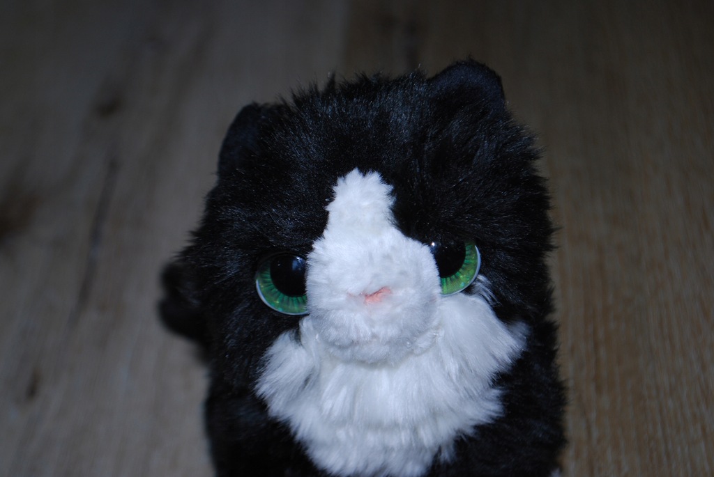 pluszak maskotka mały czarny kot kotek Keel Toys - 13794144376 ... pluszak maskotka mały czarny kot kotek Keel Toys - 13794144376 ...
