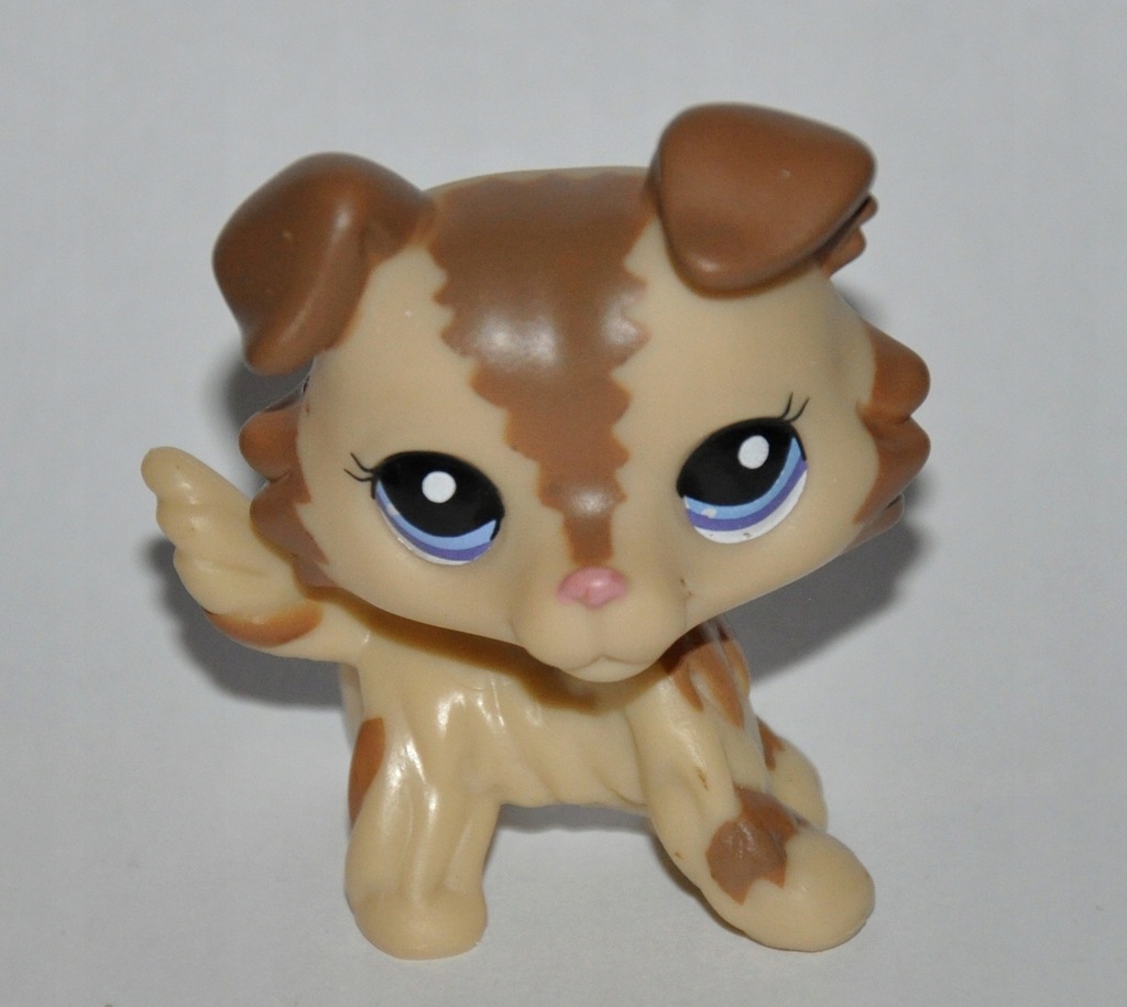 Littlest Pet Shop pies piesek collie Lps #2210 - 12145480417 ...