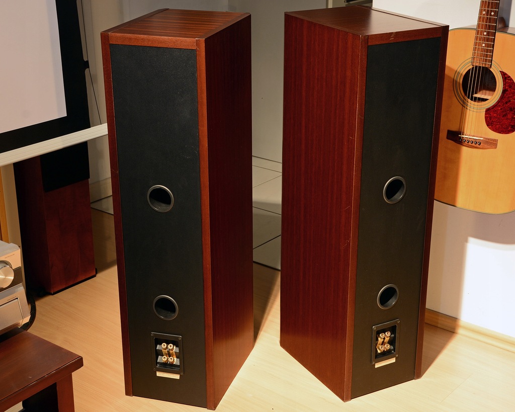 Kolumny głośnikowe stereo DALI 850 mahoń - 9096804023 - oficjalne ...