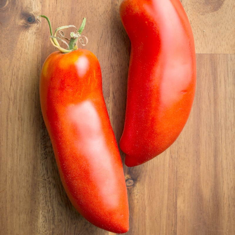 Pomidor Cornabel F1 - szklarniowy wysoki - 11534588524 - oficjalne archiwum Allegro