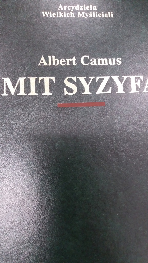 Camus MIT SYZYFA - 13306164086 - oficjalne archiwum Allegro