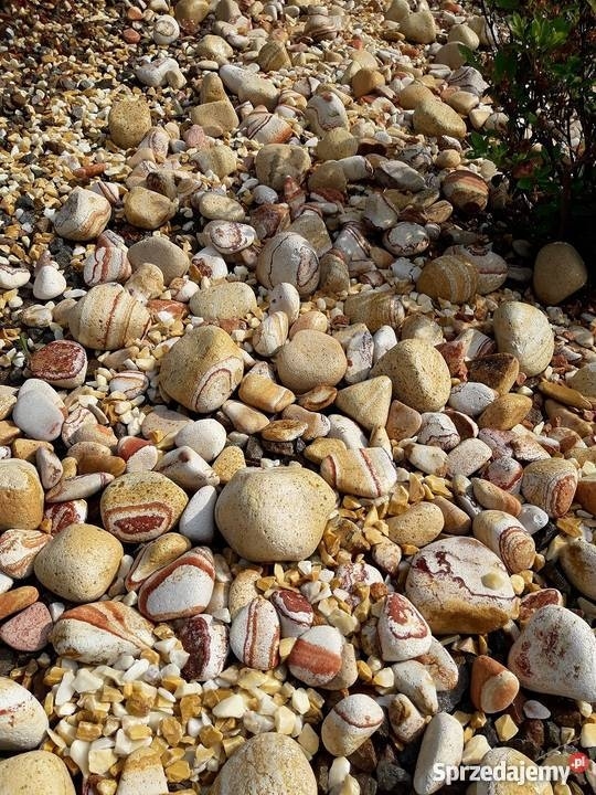 Купить Большие радужные садовые камни 25 кг: отзывы, фото и ...