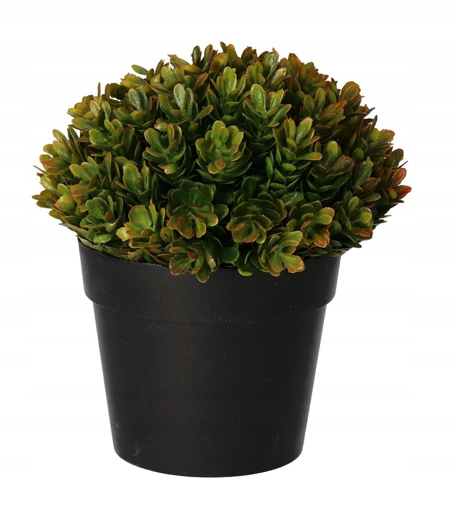 SZYSZKI CHMIELU SZTUCZNE KWIATY W DONICZCE 16 CM - 9348047169 ... SZYSZKI CHMIELU SZTUCZNE KWIATY W DONICZCE 16 CM - 9348047169 ...