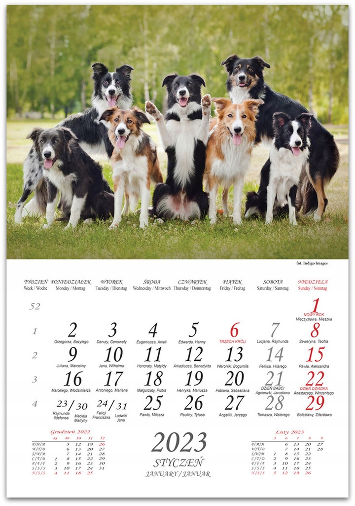 Kalendarz 2023 ścienny planszowy PSY PIESKI - 12836249673 - oficjalne archiwum Allegro
