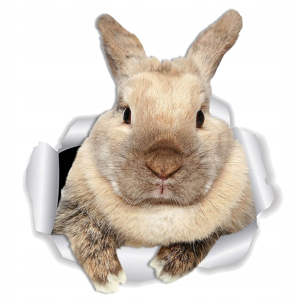 3D Rabbit Wall Sticker Present Stickers BUNNY - 13509895667 - oficjalne ...
