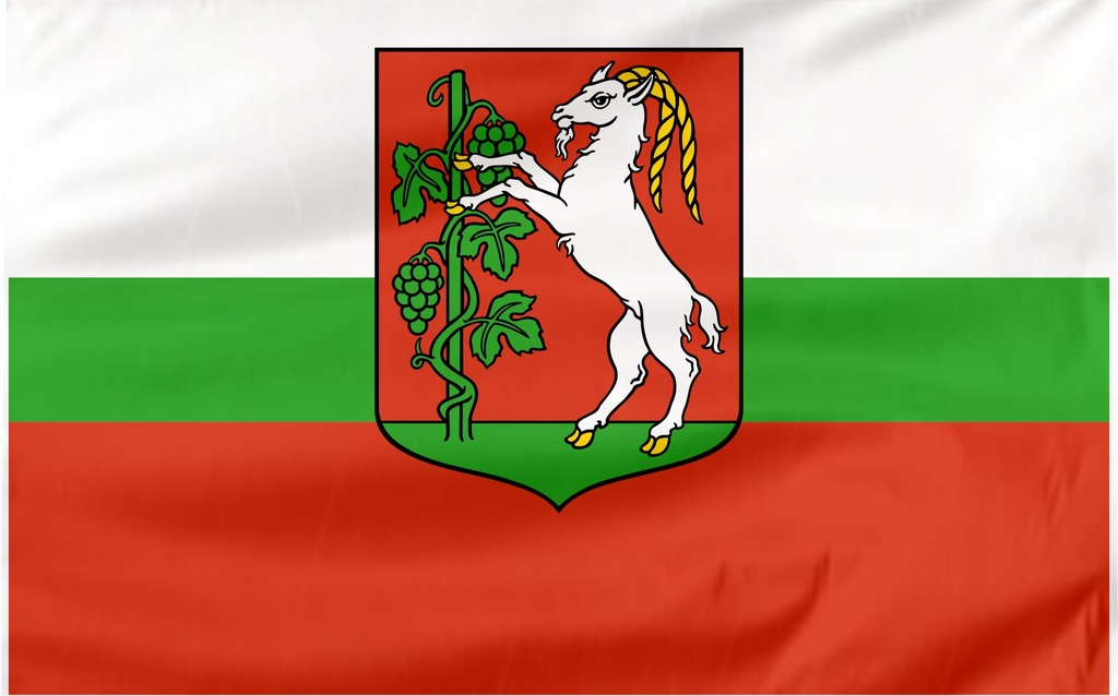 Flaga flagi Lublina Lublin 150x90cm - 7302358189 - oficjalne archiwum ...