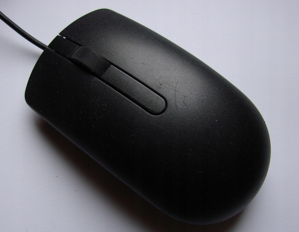 MYSZKA OPTYCZNA - DELL CAN ICES-3 MS116t - 1000dpi - 10137920015 ...