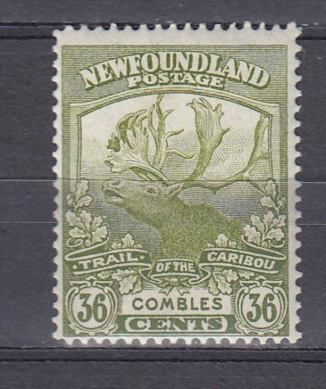 Nowa Funlandia rzadki* - 14971599630 - oficjalne archiwum Allegro