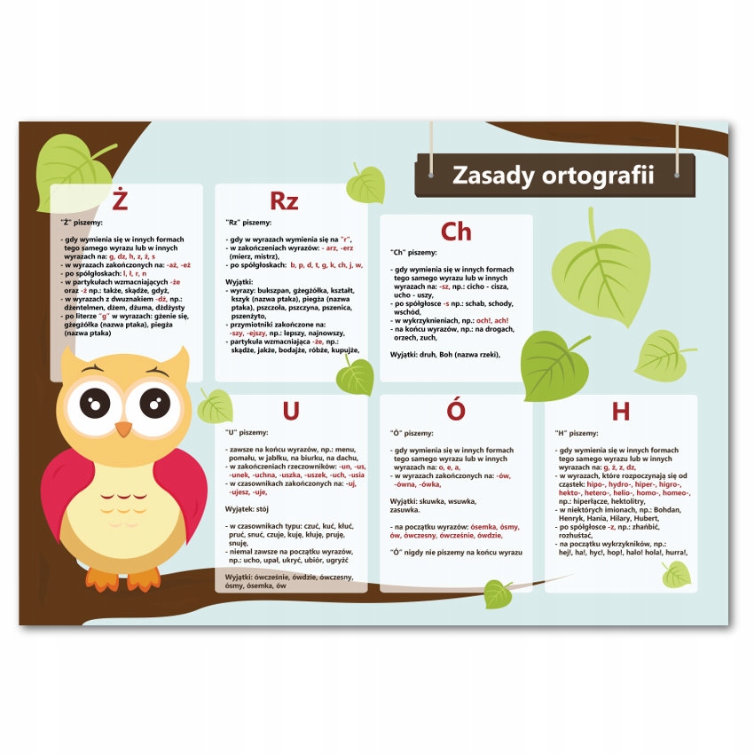 Plakat edukacyjny - Zasady ortografii - 10162339144 - oficjalne archiwum Allegro