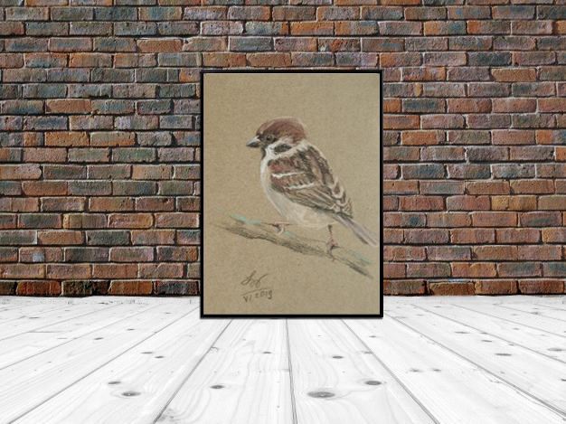 MAZUREK WRÓBEL ZWYCZAJNY PTAK rysunek 105x148 - 13637278472 - oficjalne ...