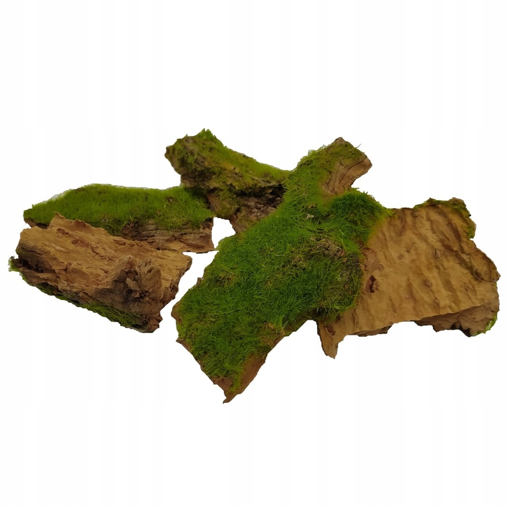 Kora z sztucznym mchem 25g wystrój terrarium - 12686949966 - oficjalne ...