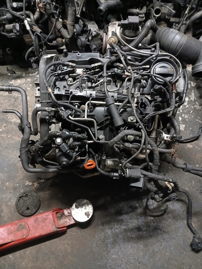 Silnik cff cffb kompletny 2.0tdi Audi VW Seat Skoda - 17126508728 - oficjalne archiwum Allegro