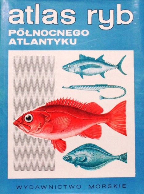 Atlas ryb północnego Atlantyku - 12351203216 - oficjalne archiwum Allegro