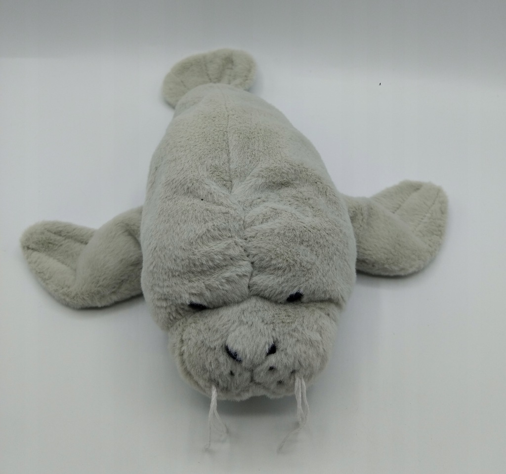 FOKA, foczka śliczna maskotka, milutka i pachnąca - 10930274396 ...