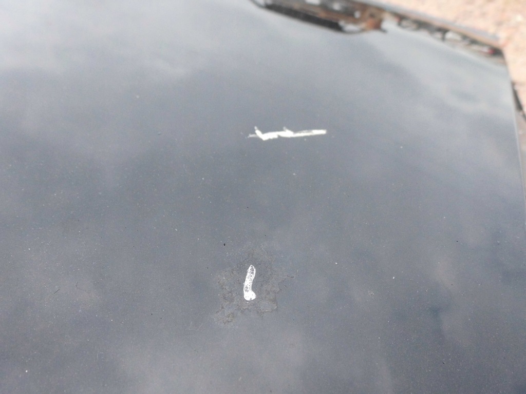 DACH VW TIGUAN 5N CZARNY LC9X - 10865633490 - oficjalne archiwum Allegro