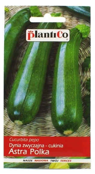 PlantiCo Cukinia dynia zwyczajna Astra Polka 3g - 8832498603 ...