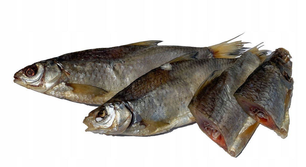 RYBA SUSZONA DO PIWA Wobła 20+ 500+/-10g - 12431929201 - oficjalne ...