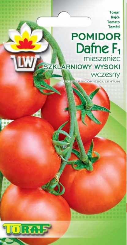 Pomidor szklarniowy Dafne - 7777487837 - oficjalne archiwum Allegro