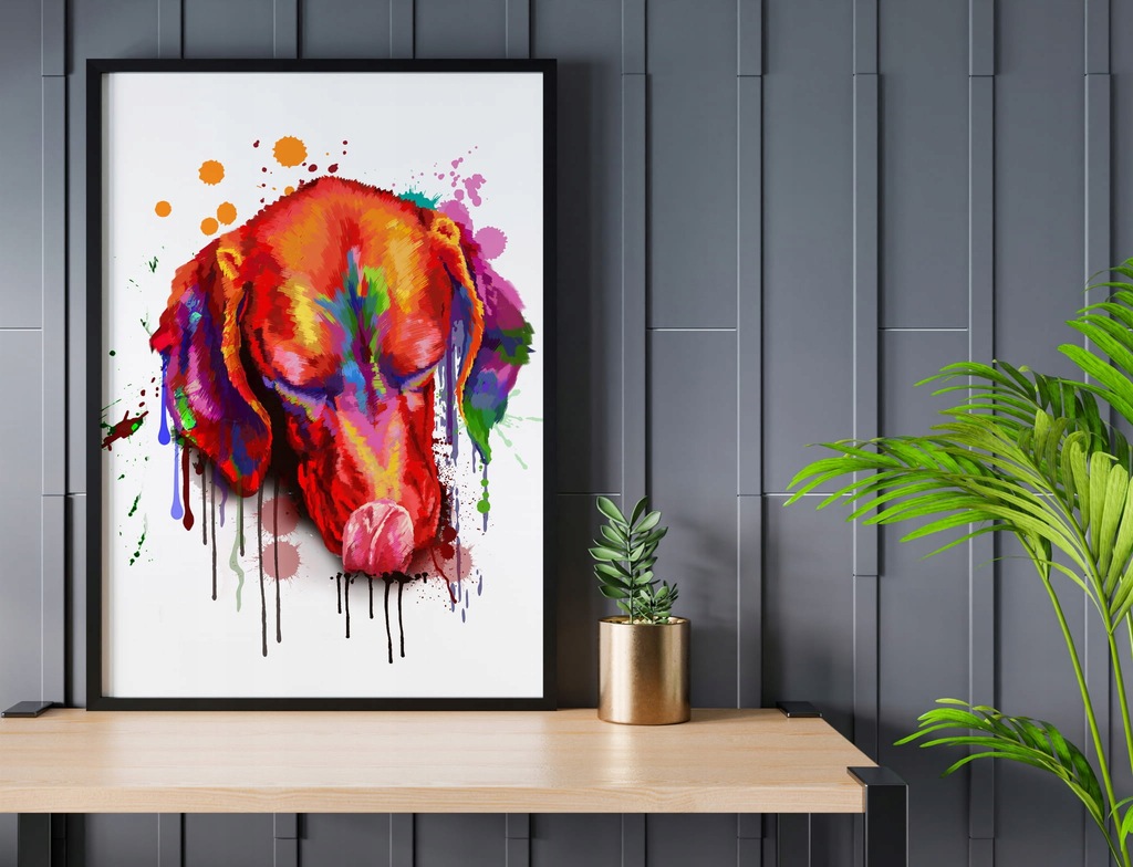 Plakat obraz Pies Jamnik A3 białe tło prezent - 11587870888 - oficjalne ...