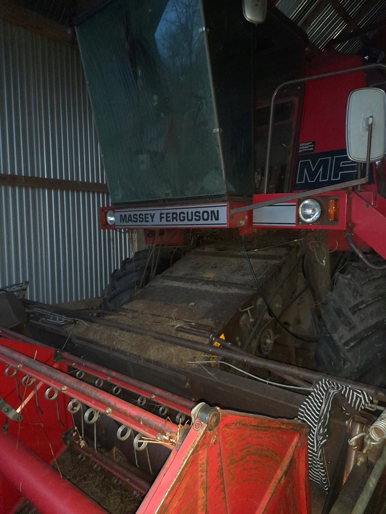 Kombajn zbożowy Massey Ferguson MF 24 - 13134012335 - oficjalne archiwum Allegro