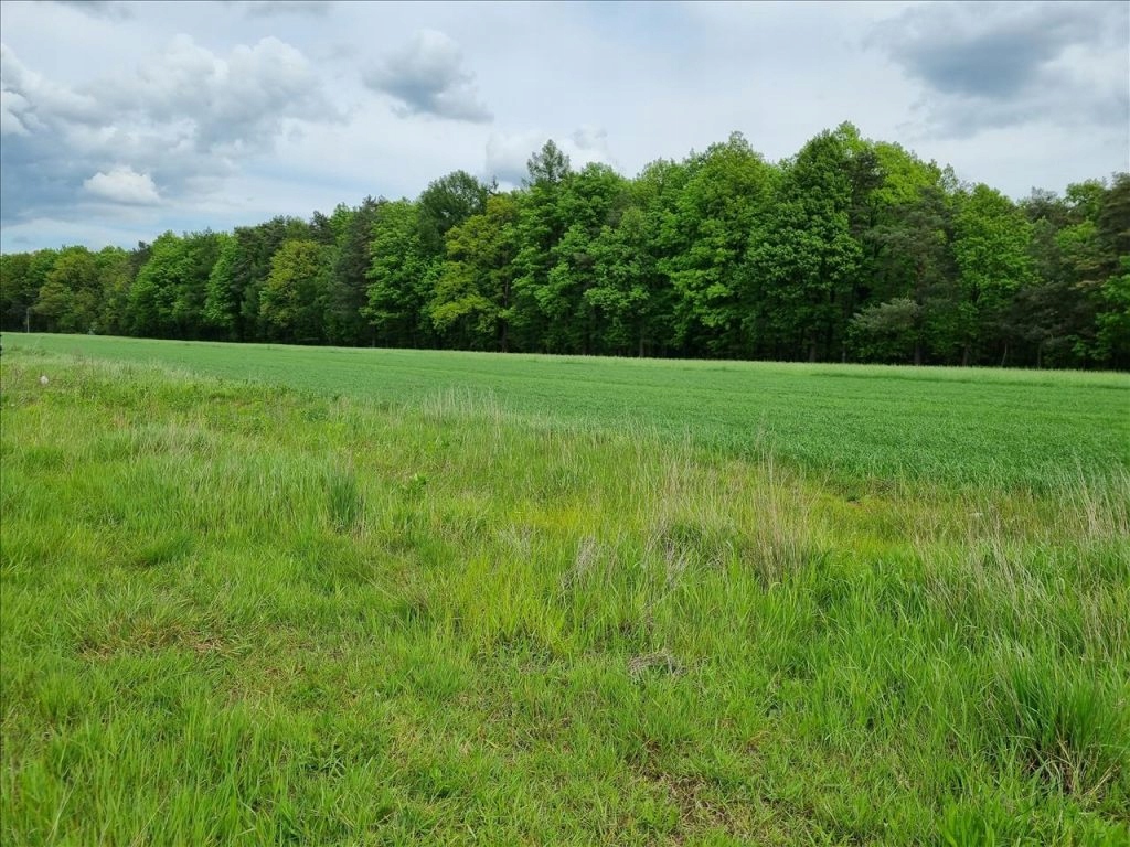 Działka, Guty, Serock (gm.), 1000 m² - 11236191348 - oficjalne archiwum ...