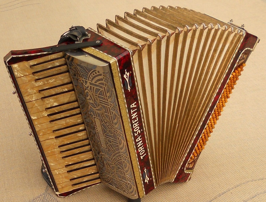Akordeon TORNA SORENTA 120 basowy + futerał - 13033871093 - oficjalne ...