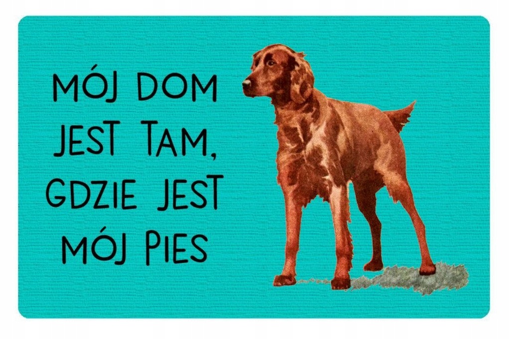 Magnes retro rysunek Seter irlandzki piesek pies rasa psa rasy pieski ...