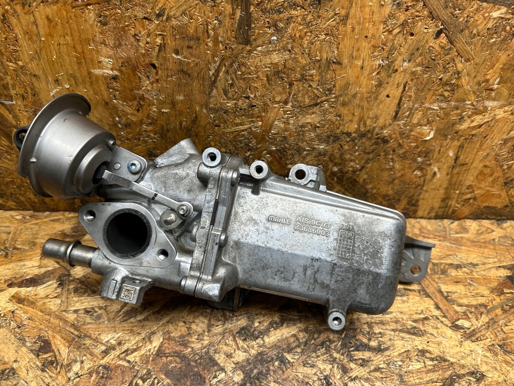 CHŁODNICA SPALIN EGR RENAULT MASTER III 147355238R - 13576815416 ...