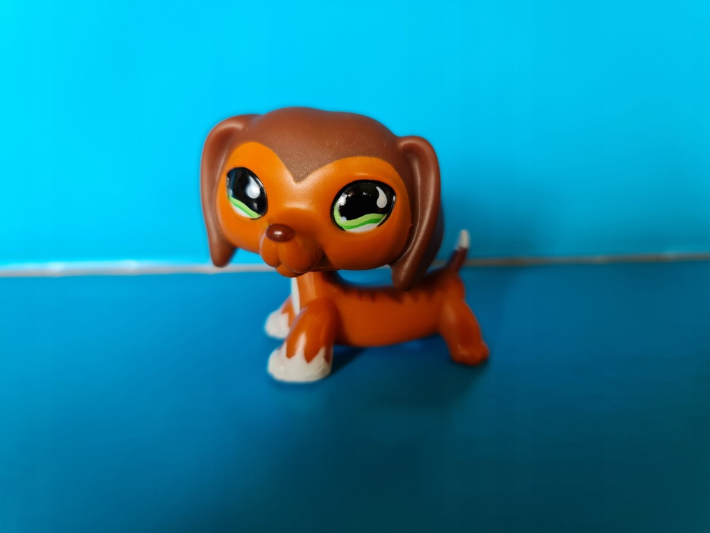 Littlest Pet Shop Jamnik #675 Oryginał Savanah LPS - 11875935377 ...