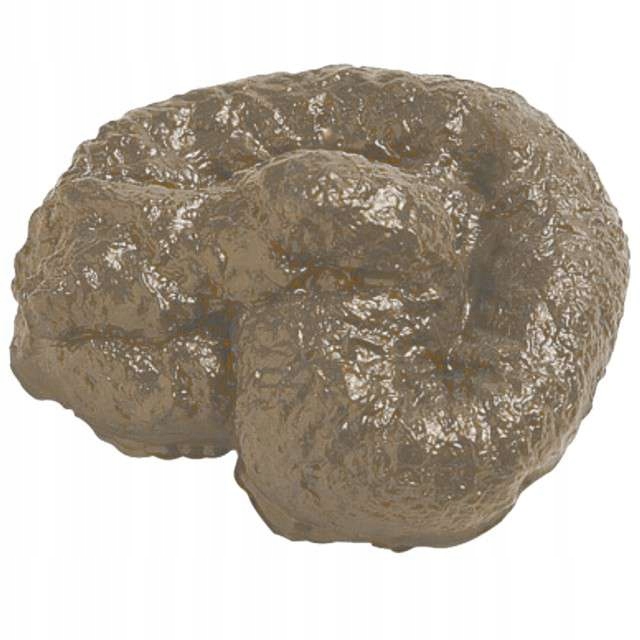 brązowa SZTUCZNA KUPA gówno sraka kupka stolec - 11890013666 - oficjalne archiwum Allegro