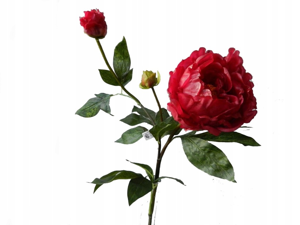 PEONIA PIWONIA LATEKS ekskluzywne kwiaty sztuczne ART ROSE ...