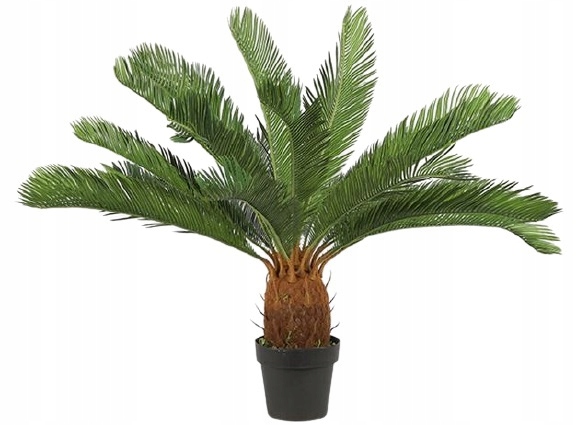 Cycas Revoluta Lroślina sztuczna 80 x 93 cm zielon - 11033144902 ...