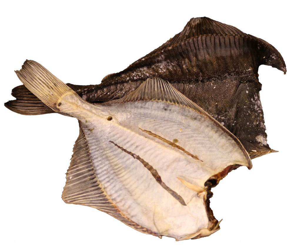 RYBA SUSZONA DO PIWA FLĄDRA 500+/-20g - 12794209770 - oficjalne ...