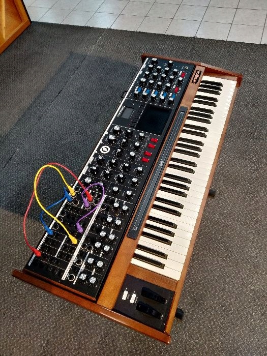 MOOG Minimoog Voyager XL Syntezator Analogowy - 9791168191 - oficjalne ...