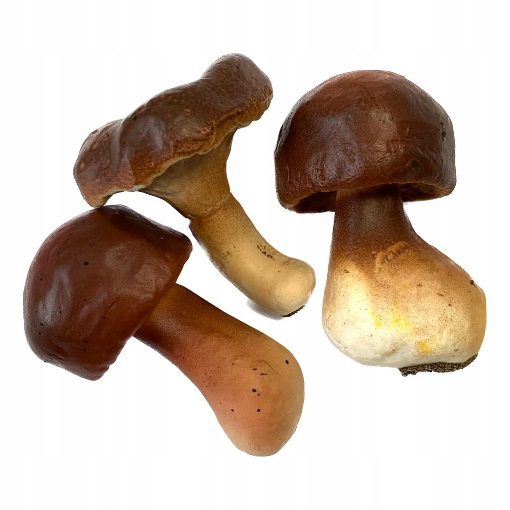 GRZYB GRZYBY GRZYBKI PODGRZYBKI SZTUCZNE 3 szt. - 14189101747 ...